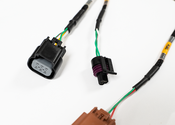 FuelTech LS550 V8 Complete Harness - FuelTech USA